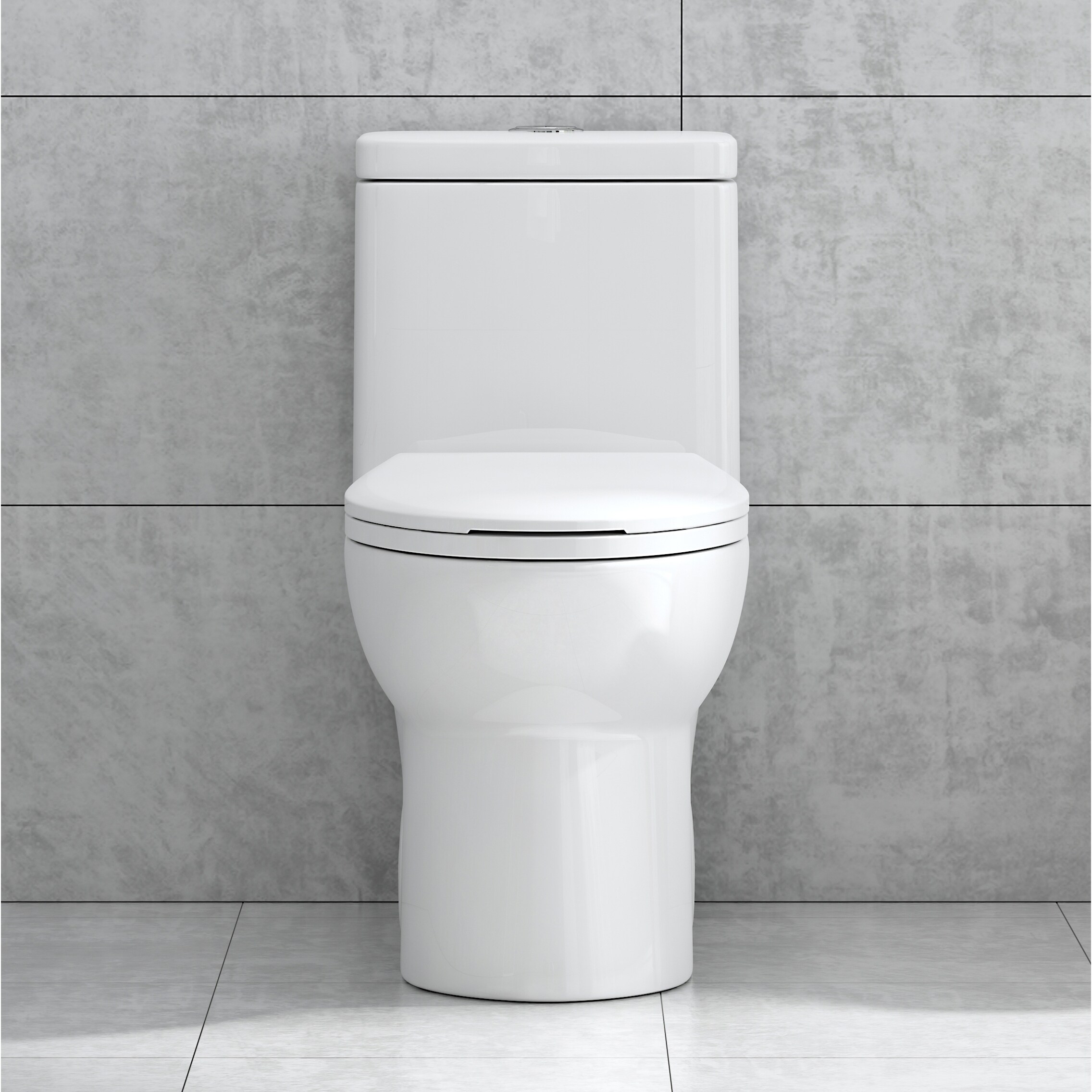 ADA Height One piece dual flush elongated 12'' rough in toilet (Seat ...