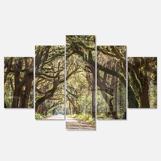 Designart 'Trees Tunnel in Botany Bay' Landscape Metal Wall Art - Bed ...