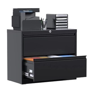 Metal 2 Drawer Lateral File Cabinet with Lock, Drawer with Adjustable ...