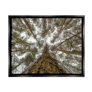 Stupell Looming Tree Branches Overhead Framed Floater Canvas Wall Art ...