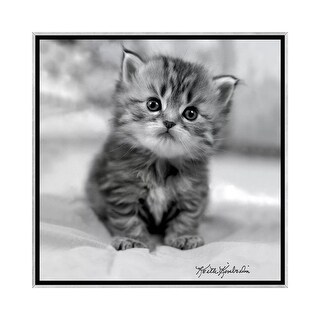 iCanvas "3 Weeks Young" by Keith Kimberlin Framed - Bed Bath & Beyond ...