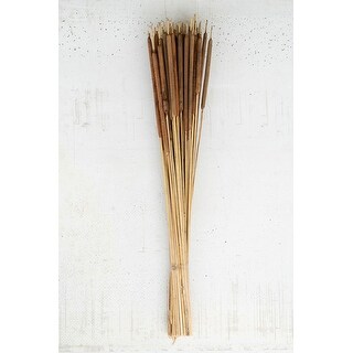 Set of 12 Dried Miniature Cattails - 27-inch Tall - Bed Bath & Beyond ...