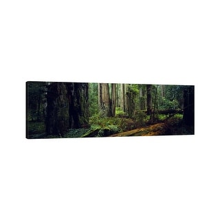 iCanvas "Trees in a forest, Hoh Rainforest, Olympic National Park ...