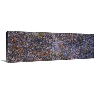 "Close-up of feldspar granite, Sherman Mountains, Albany County ...