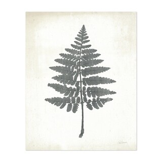Chalkboard Fern II Illustrations Botanical Ferns Art Print/Poster - Bed ...