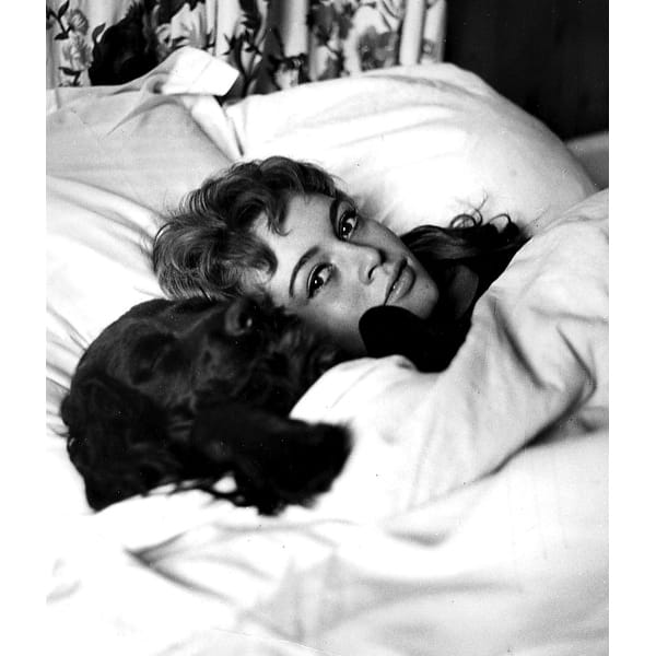 Brigitte Bardot in a bed with dogs Photo Print - Bed Bath & Beyond ...