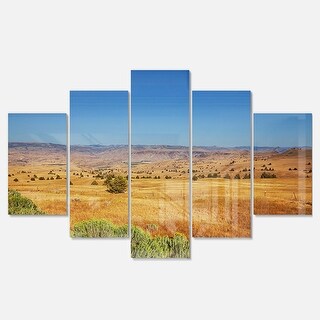 Designart 'Prairie with Bright Blue Sky' Landscape Metal Wall Art ...