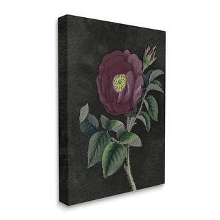 Stupell Purple Poppy Vintage Illustration Thorne Flower Canvas Wall Art ...