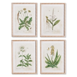 Vintage Botanical Study, Set Of 4 - Bed Bath & Beyond - 37631724