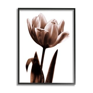 Stupell Blooming Tulip Silhouette Framed Giclee Art by Caroline Kelly ...