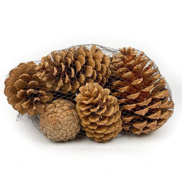 Pine Cone Maritima Bleach Mixed - 12 Pieces - Pack Of 2 - N/A - Bed ...