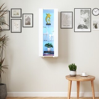 Floating Wall Cabinet Display Cabinet with Lights, Floor Storage ...