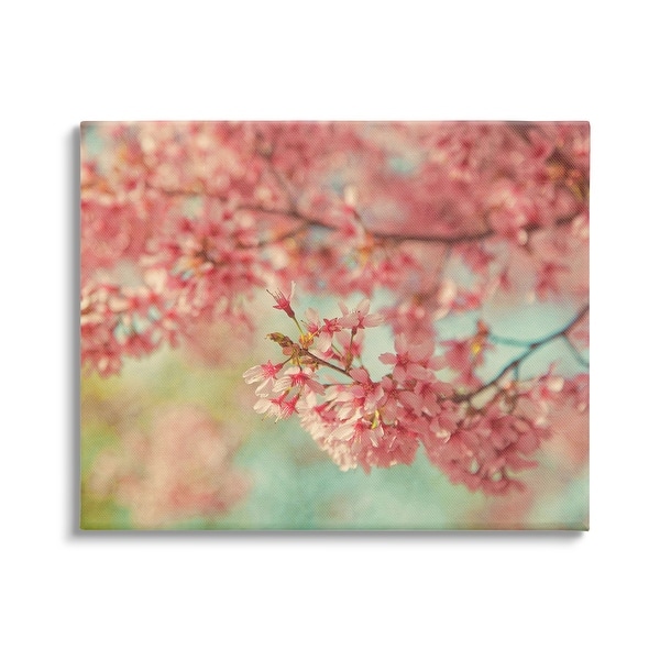 Stupell Pink Cherry Blossoms Canvas Wall Art Design by Carrie Ann ...