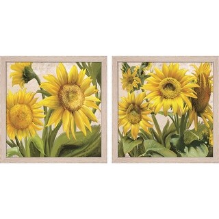 Anthony Christou 'Sunflower Surprise' Framed Art (Set of 2) - Bed Bath ...
