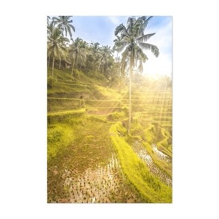 Ubud Bali Indonesia Sunrise in the Rice Terraces Art Print/Poster - Bed ...