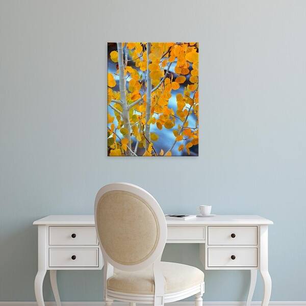 tree canvas the range