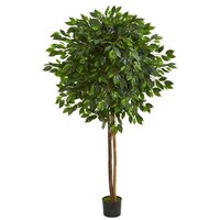 6.5' Ficus Artificial Tree - 12"D x 12"W x 78"H - Bed Bath & Beyond ...