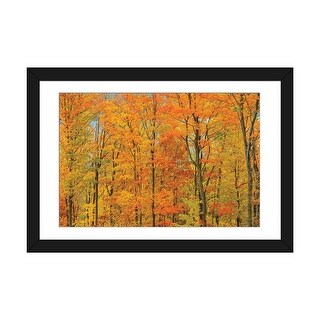 iCanvas "Canada, Ontario, Manitoulin Island. Sugar maple trees in ...