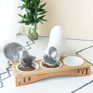 Premium Cat Feeder Elevated Bowls Feeding Station for Cat - 18*6*2 ...