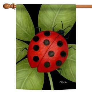 Ladybug Outdoor House Flag 40" x 28" - Bed Bath & Beyond - 36402746