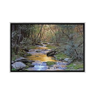 iCanvas "Colorful Creek" by Brian Wolf Framed - Bed Bath & Beyond ...