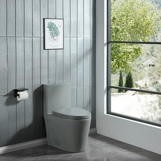 ADA Height One piece dual flush elongated 12'' rough in toilet (Seat ...