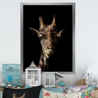 Designart "Close Up Giraffe On Black" Traditional Framed Art Print ...