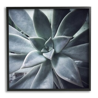 Stupell Modern Succulent Close Up Plant Life Botanical Framed Wall Art ...