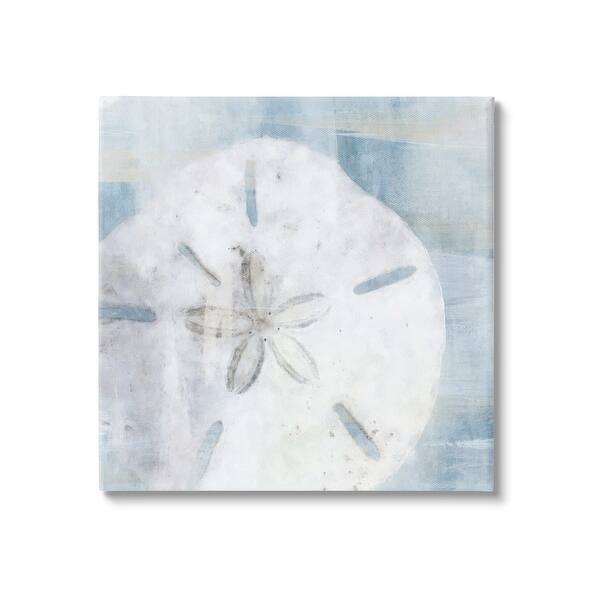 Stupell Pastel Blue Sand Dollar Seashell Canvas Wall Art by Nina Blue ...