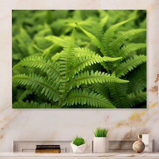 Designart "Green Fern Scenery II" Ferns Metal Art Print - Bed Bath ...
