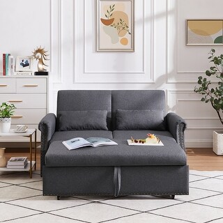 Modern 55" Pull Out Sleep Loveseats Sofa Bed - Bed Bath & Beyond - 39638507