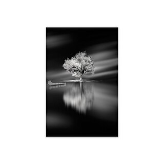Quiet Print On Acrylic Glass by David Senechal Photographie - Bed Bath ...