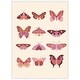Kate and Laurel Sylvie Vintage Retro Boho Butterflies Framed Canvas by ...