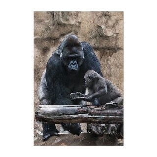 Photography Animals Chimpanzee Churches Temples Cute Art Print/Poster ...