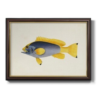 Tropical Fish Collection V Premium Framed Canvas- Ready to Hang - Bed ...