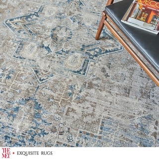 The Met X Exquisite Rugs Vintage Looms Rust/Navy Area Rug. - Bed Bath ...