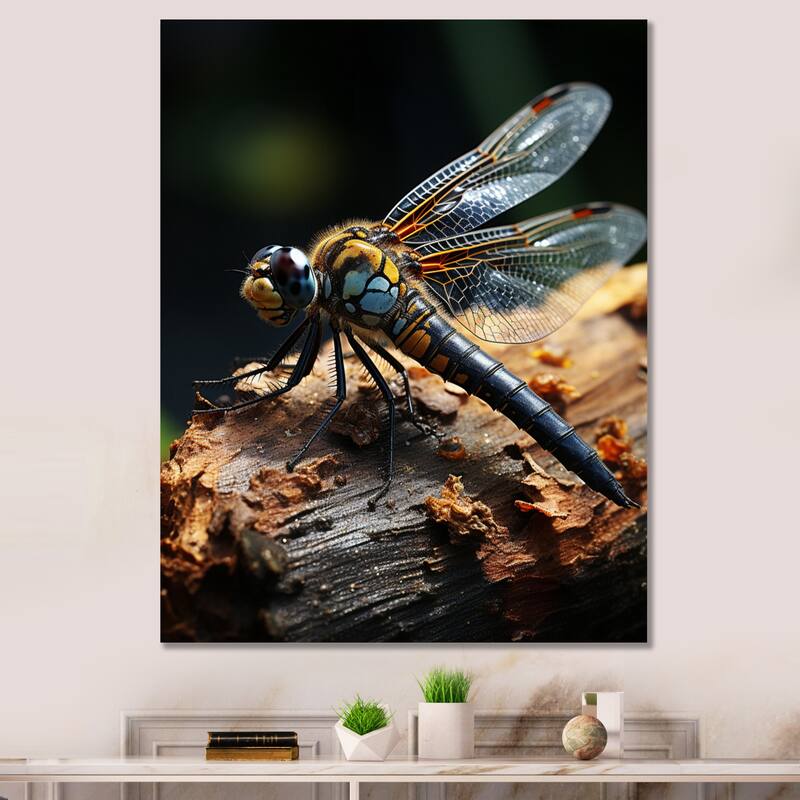 Designart "Brown Dragonfly Portrait Vibrant" Animals Dragonfly Wall Art ...