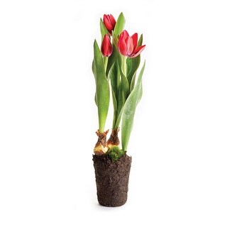 Tulip Faux (Fake) Drop-In 18" - Bed Bath & Beyond - 38215635
