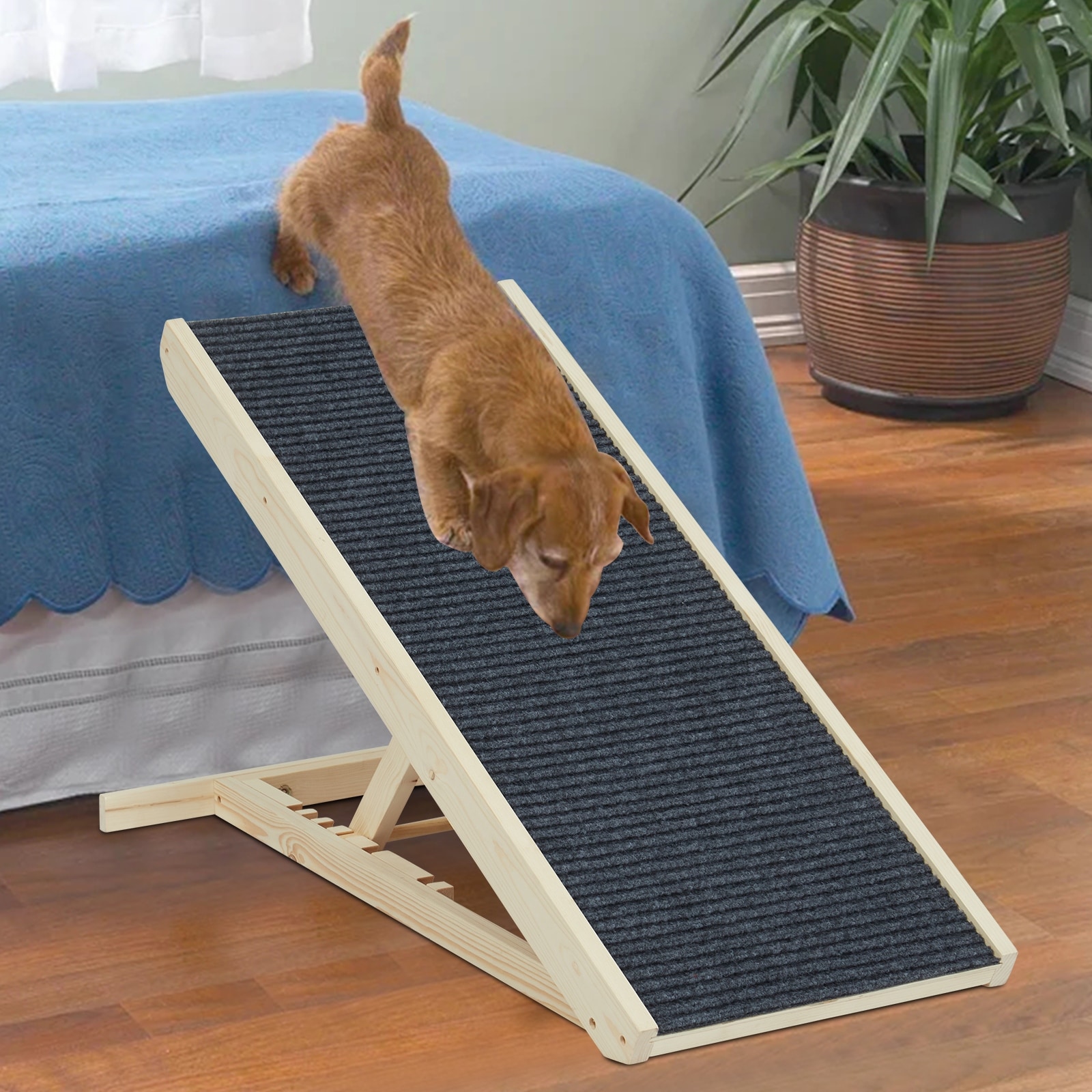 Black Pet Ramps - Bed Bath & Beyond