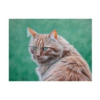 Steve Crockett 'Pet Portrait Of Tiggy The Cat' Canvas Art - Bed Bath ...