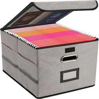 Portable File Organizer Box with Lid (Gray) - Bed Bath & Beyond - 39427130
