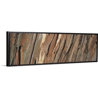 "Close-up of a tree bark, Eucalyptus tree, San Rafael, California ...