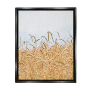 Stupell Rural Wheat Field Crops Floater Canvas Wall Art by Nancy ...