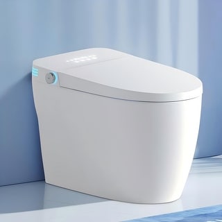 ABRUZZO Smart Bidet Toilet Auto Flush, Open Close, Heated Seat, Warm ...