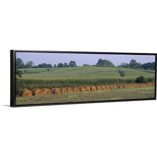 "Maryland, Baltimore, Hay bales near a corn field" Black Float Frame ...