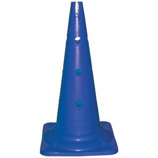 20" Hurdle Cone - Blue - Bed Bath & Beyond - 22741948