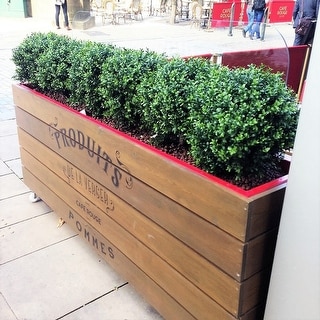 40inx12inx32in Solid Wood Rolling Planter Barrier - 1pc - Bed Bath ...