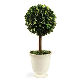 Boxwood Topiary In Beaded White Pot - Green - Bed Bath & Beyond - 37639995