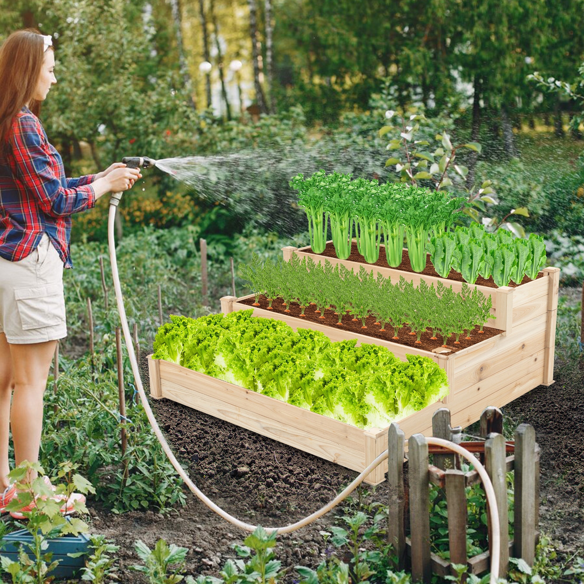 vegetable growing boxes