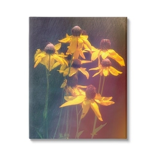 Stupell Black-Eyed Susan Photography Canvas Wall Art Design by Daniel ...